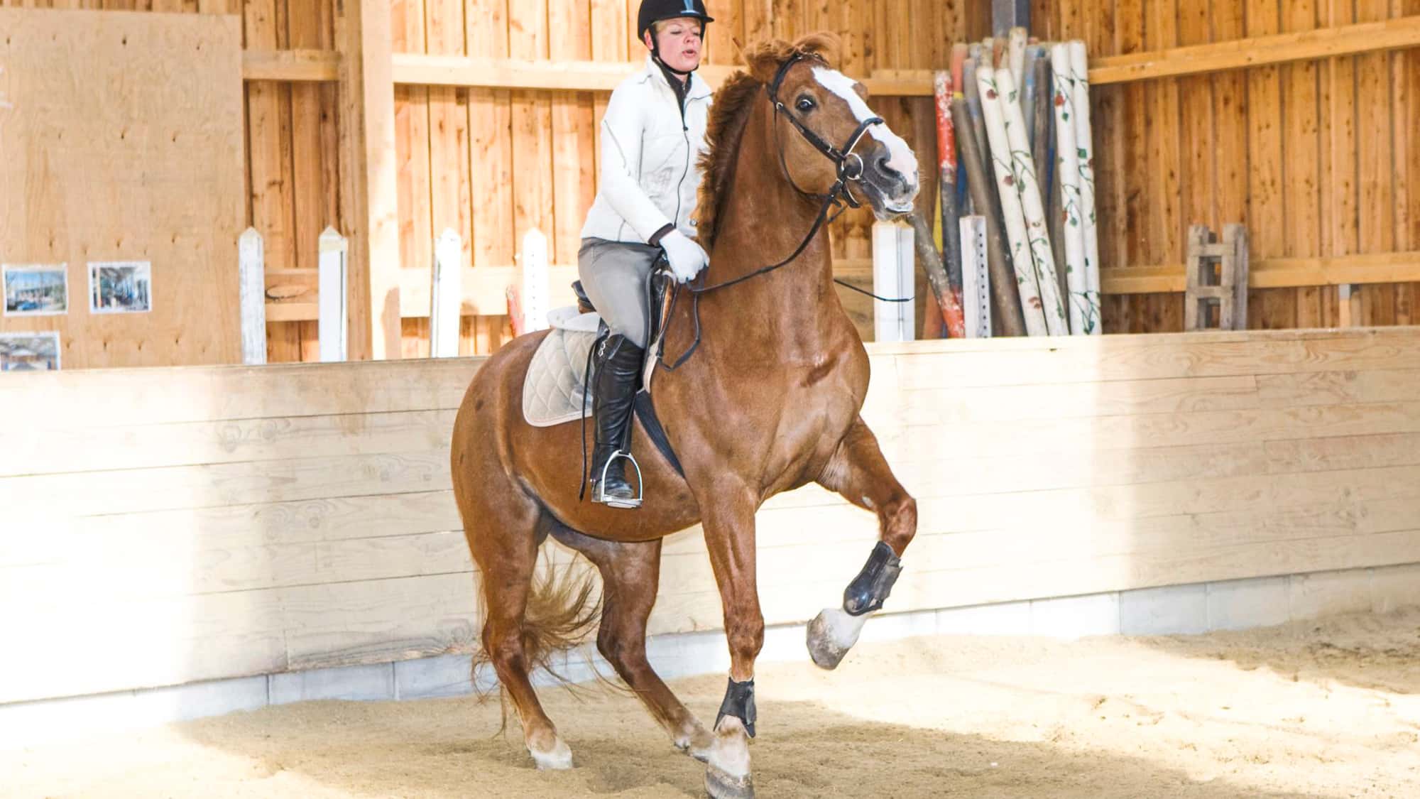 ECVM: Symptome, Diagnose & Behandlung