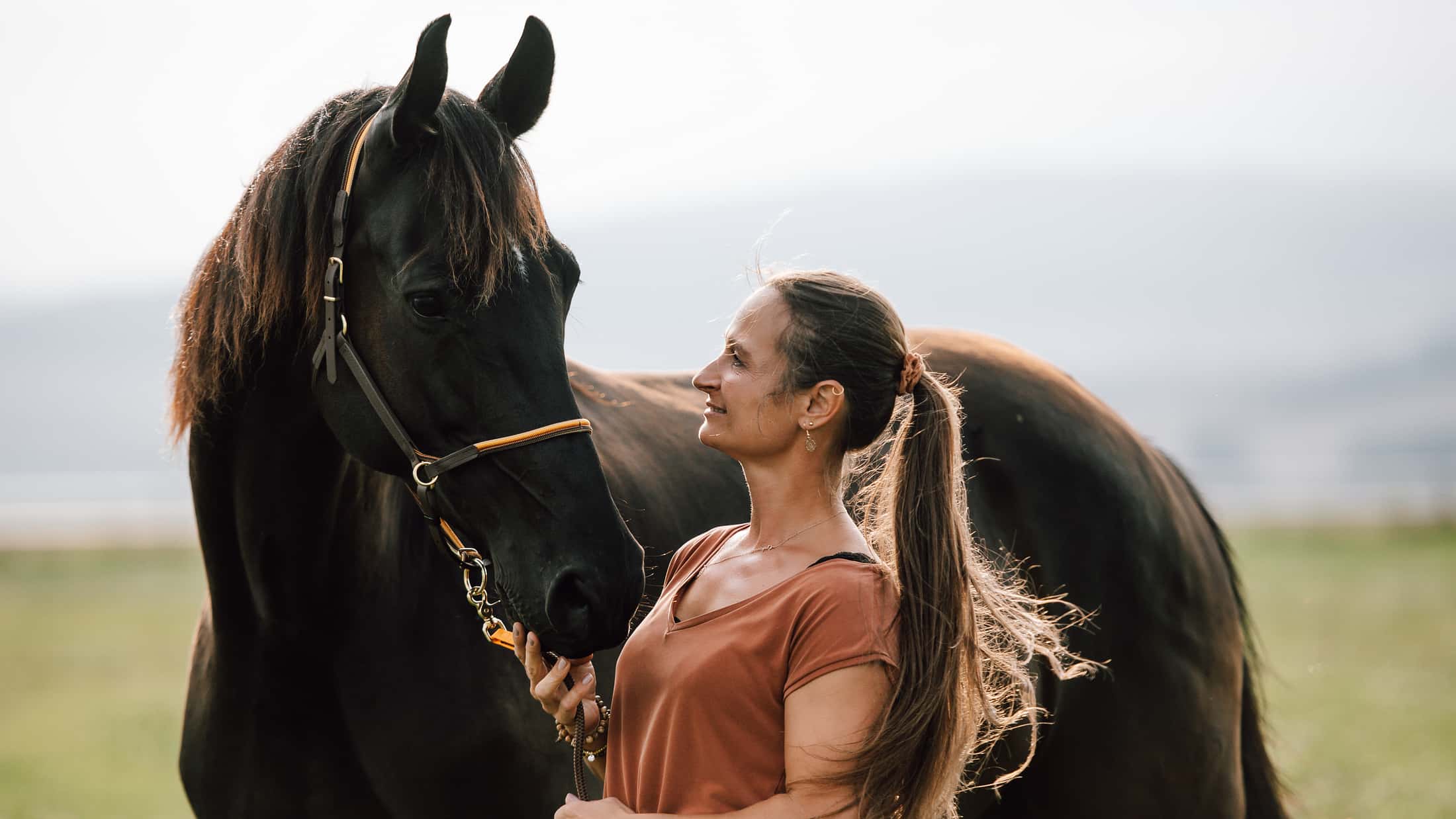 5 häufige Missverständnisse über das Pferdeverhalten