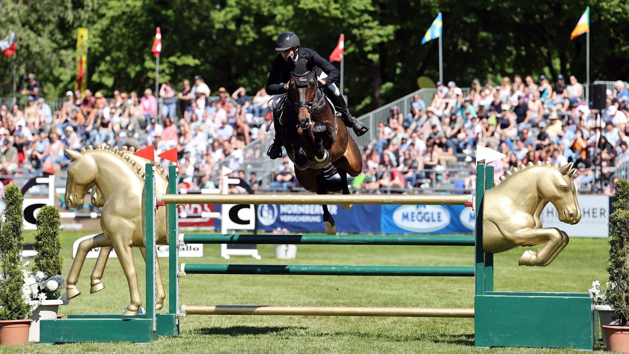 Pferd International München 2025: Das erwartet euch!