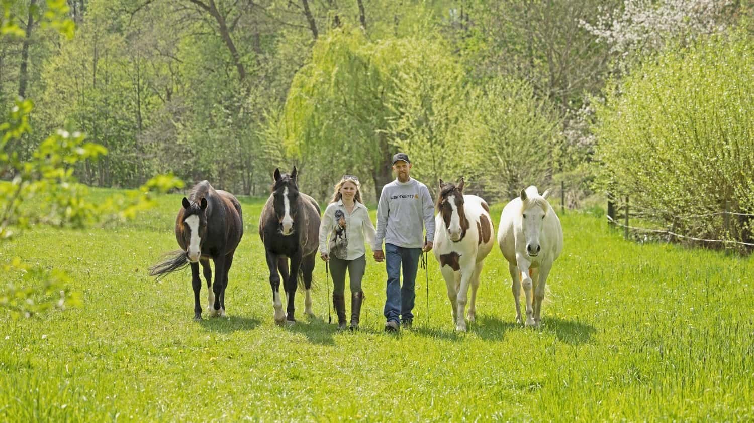 Die neuen VOX Pferdeprofis: Jenny Wild und Peer Claßen