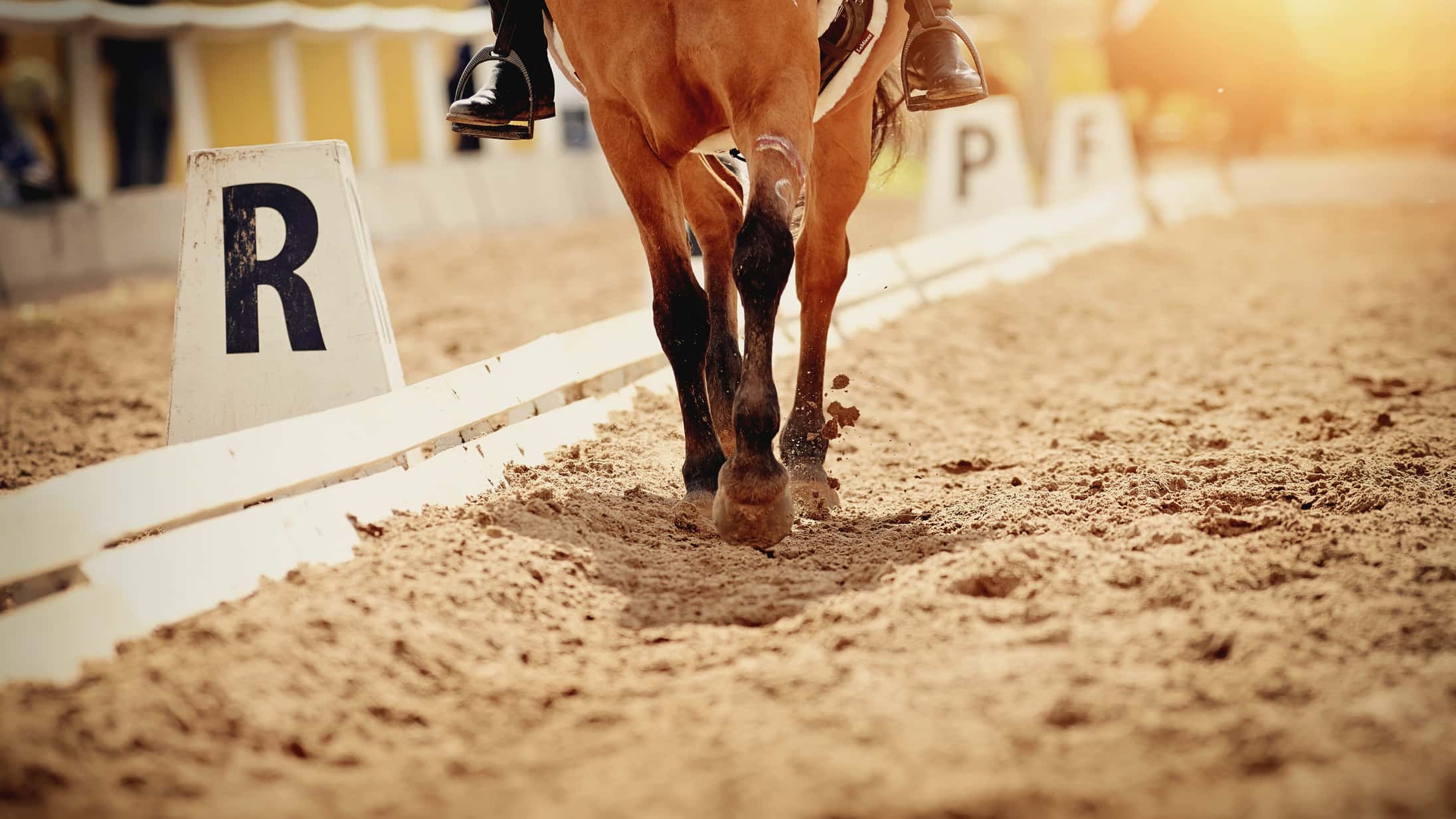 Wann ist ein Pferd reif fürs erste Turnier?