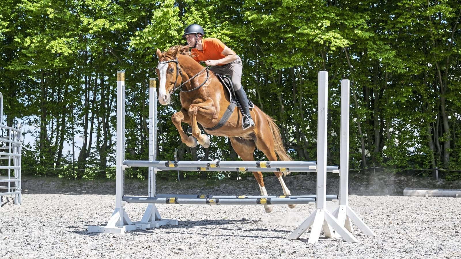 Wer ist Josef Kmoch? Der Ausbilder und Springreiter hautnah!