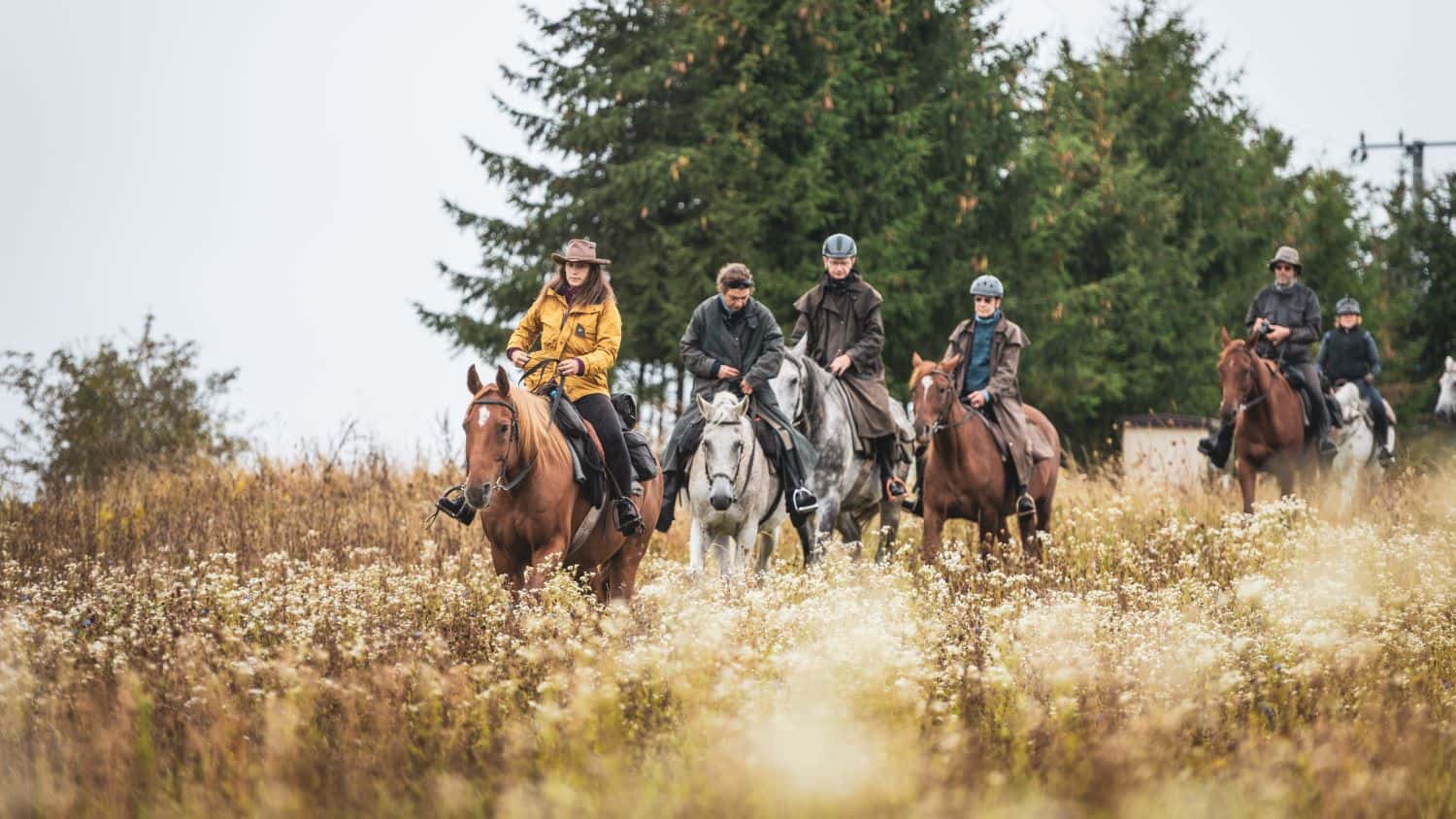 Wanderreiten: Spurensuche in Masuren zu Pferde